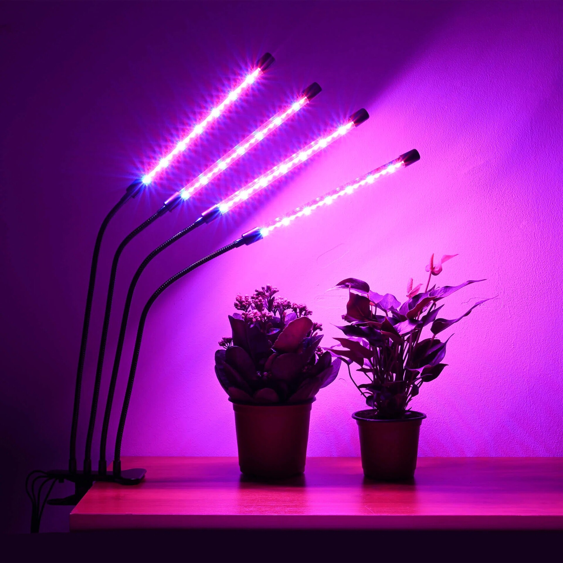 ArtStation - LED Grow Lights - Full Spectrum Kind LED