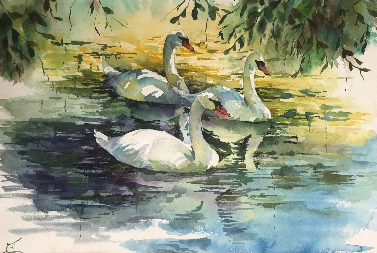 Negin Beygi Personal Portfolio