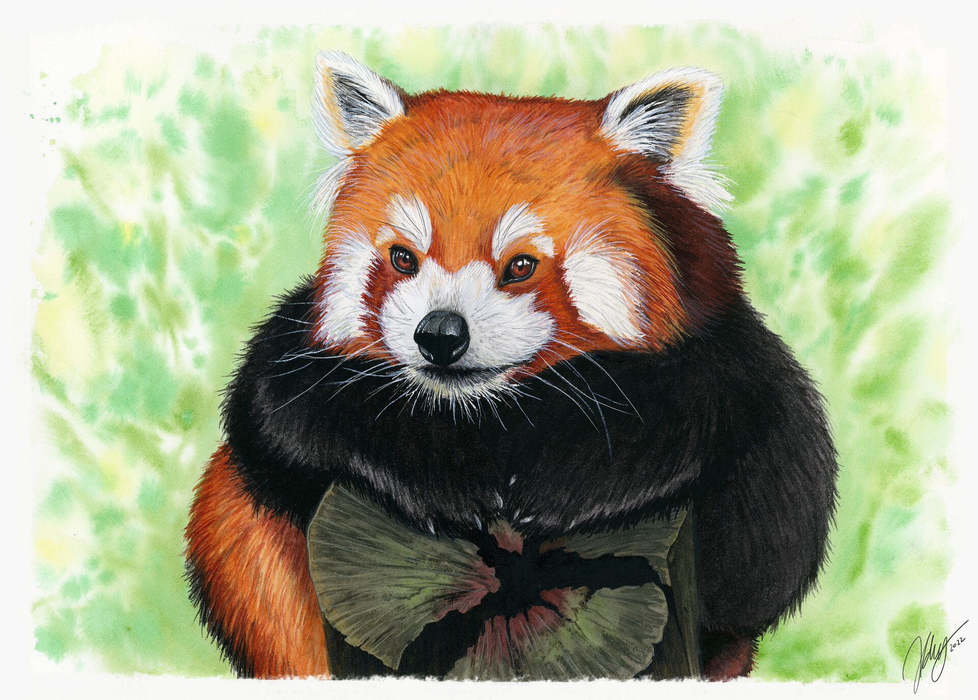 ArtStation - Red Panda