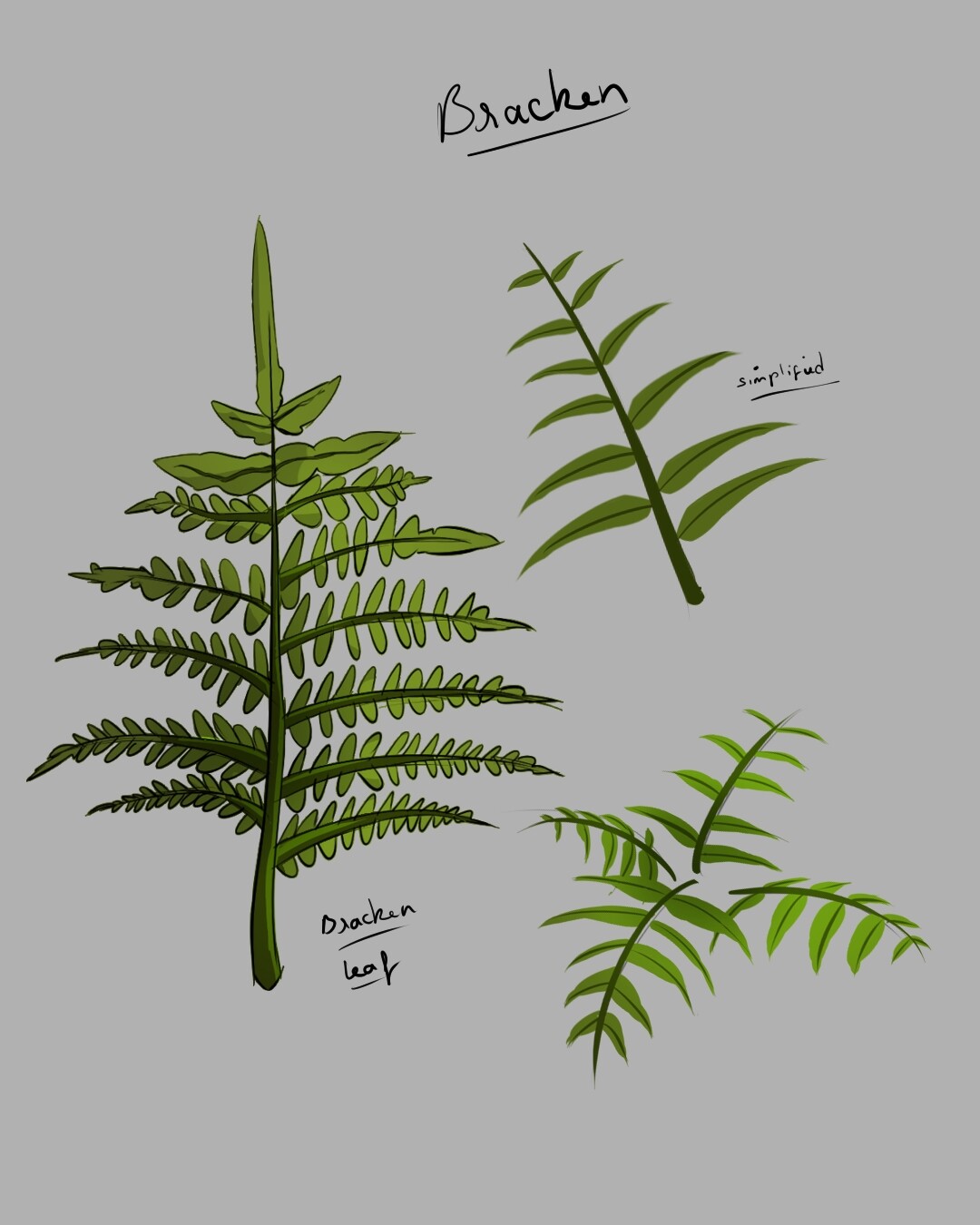 Samprince - Foliages - Concept design