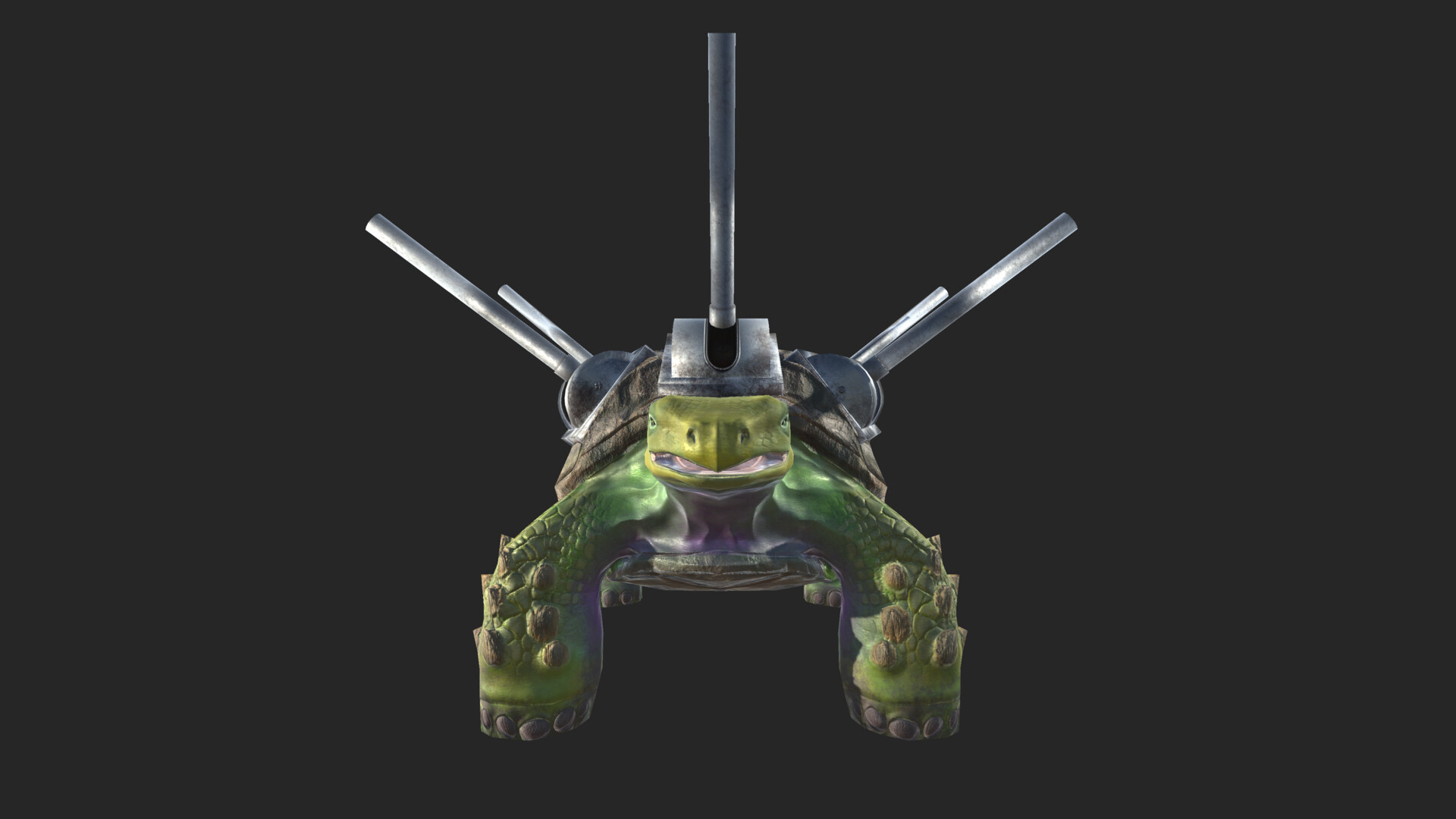 Zuzanna Szczudło - War Tortoise