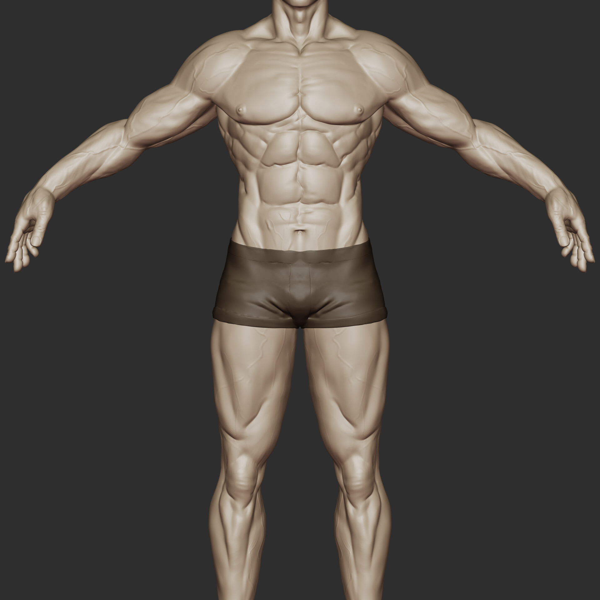 ArtStation - Anatomy Study