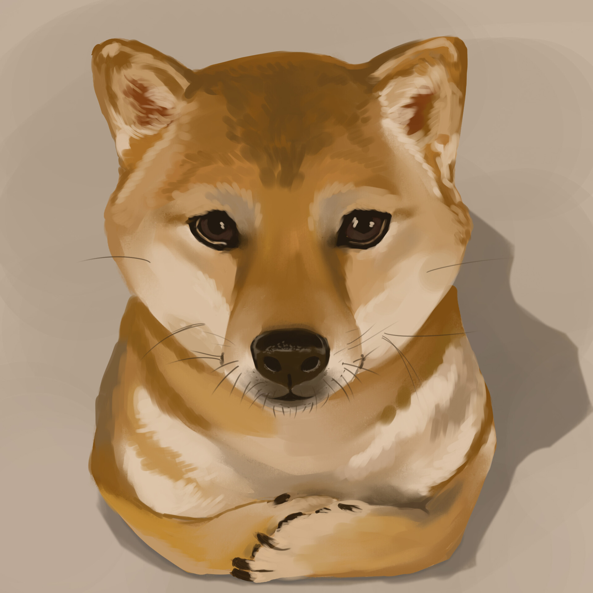 ArtStation - shiba inu
