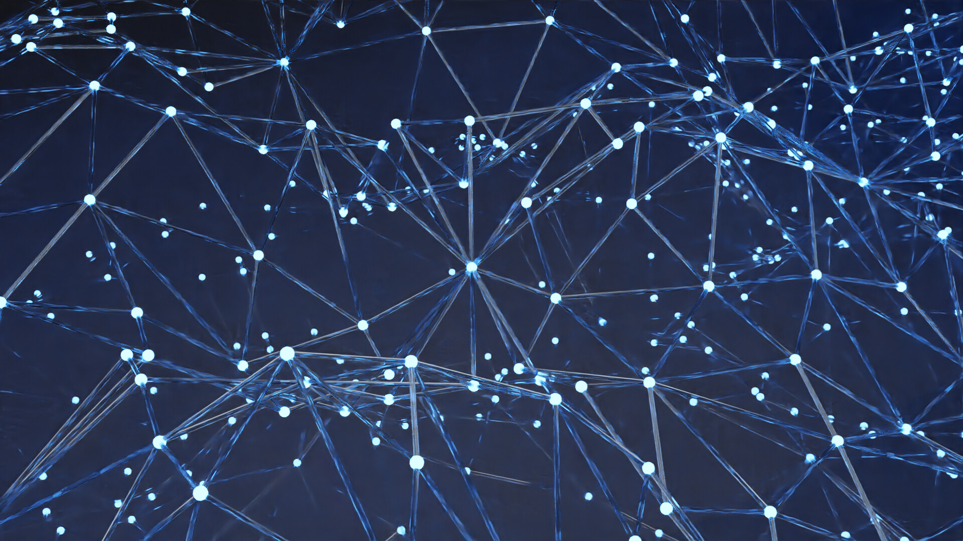 ArtStation - The Network