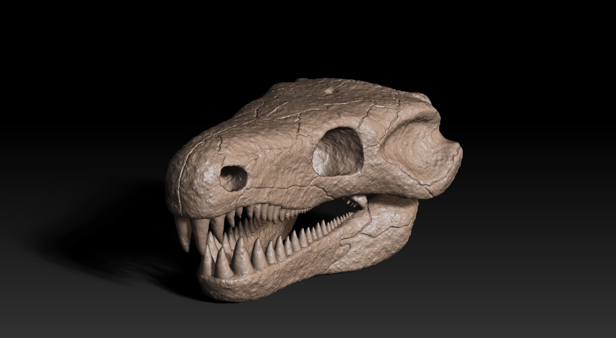 ArtStation - Luminoscelis Skull Fossil