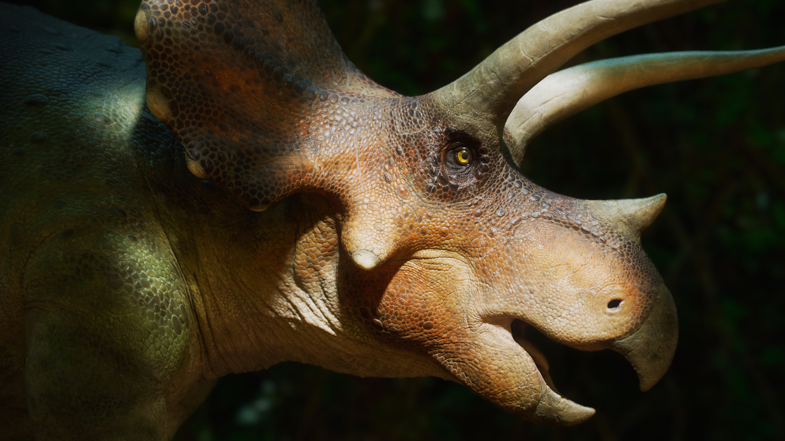 triceratops face