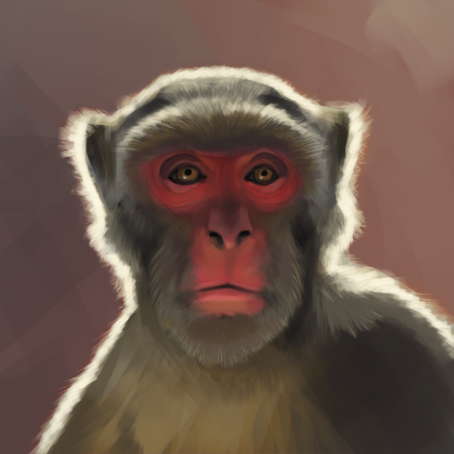 ArtStation - Macaque Study