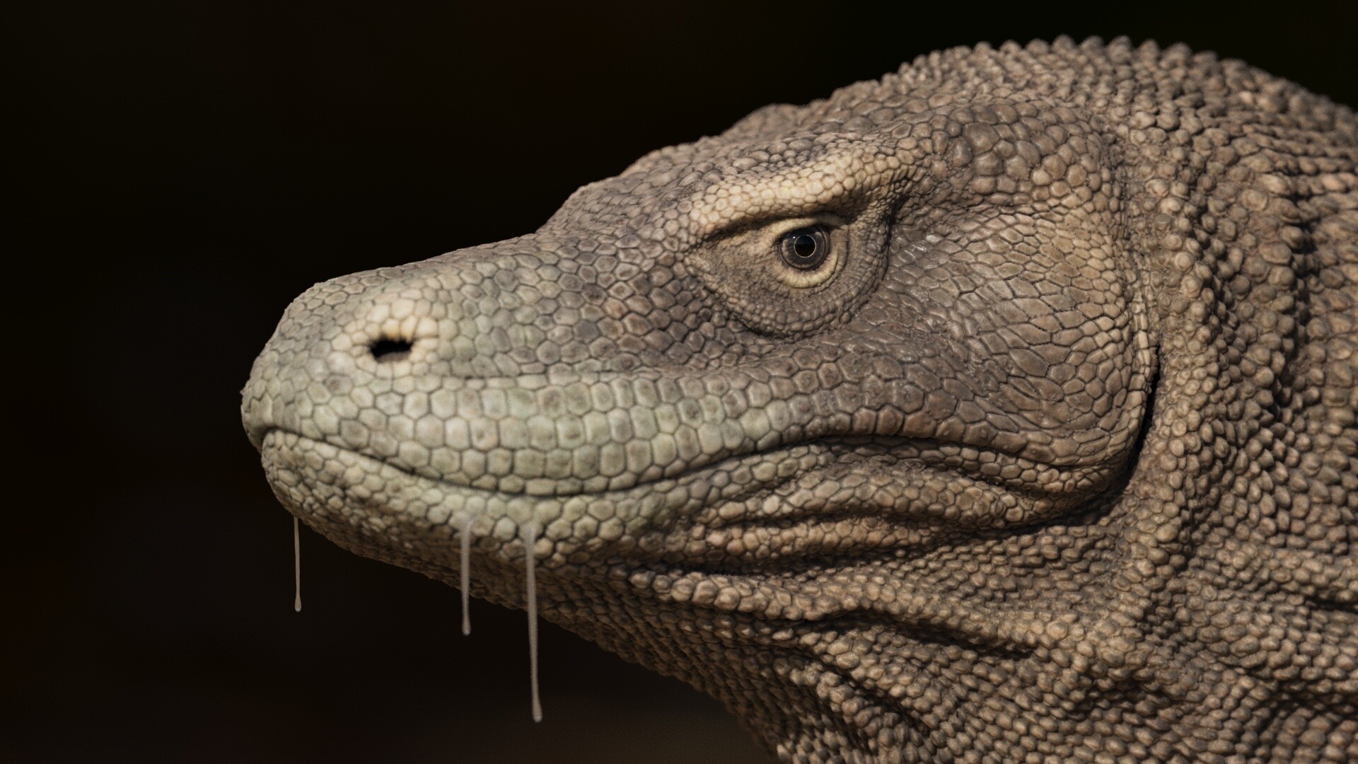 ArtStation - Komodo Dragon