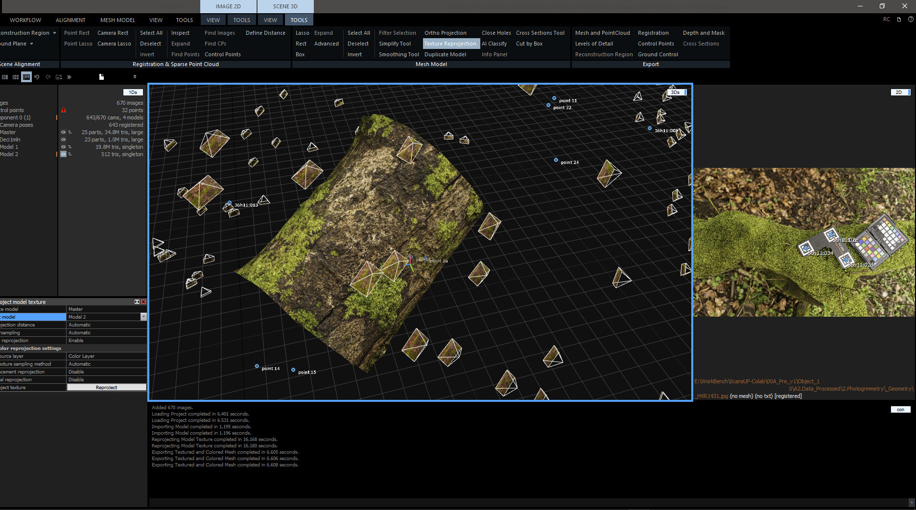 Jurand Macioszczyk Photogrammetry Portfolio - Decomposed forest tree ...