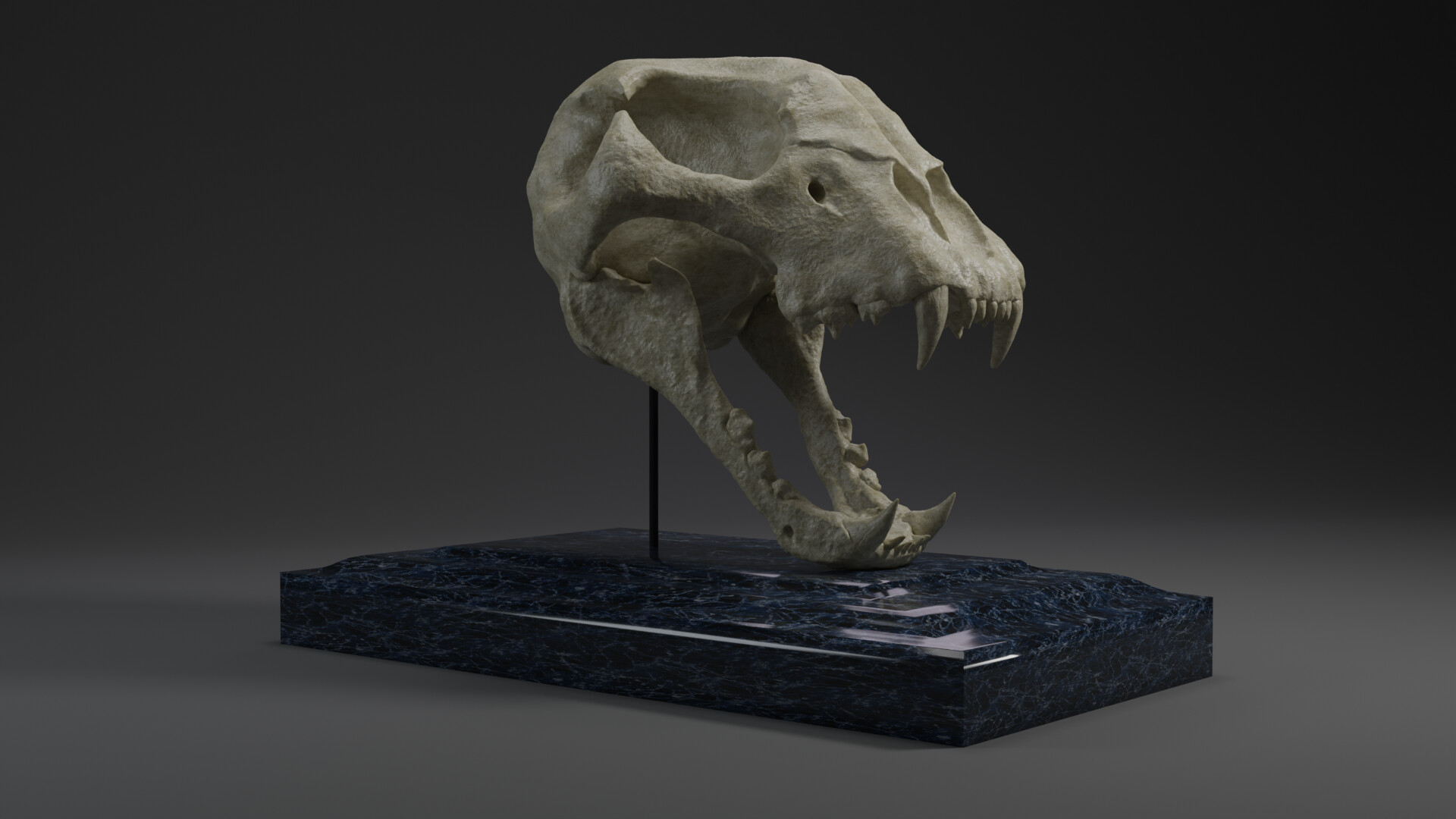 ArtStation - Cheetah Skull