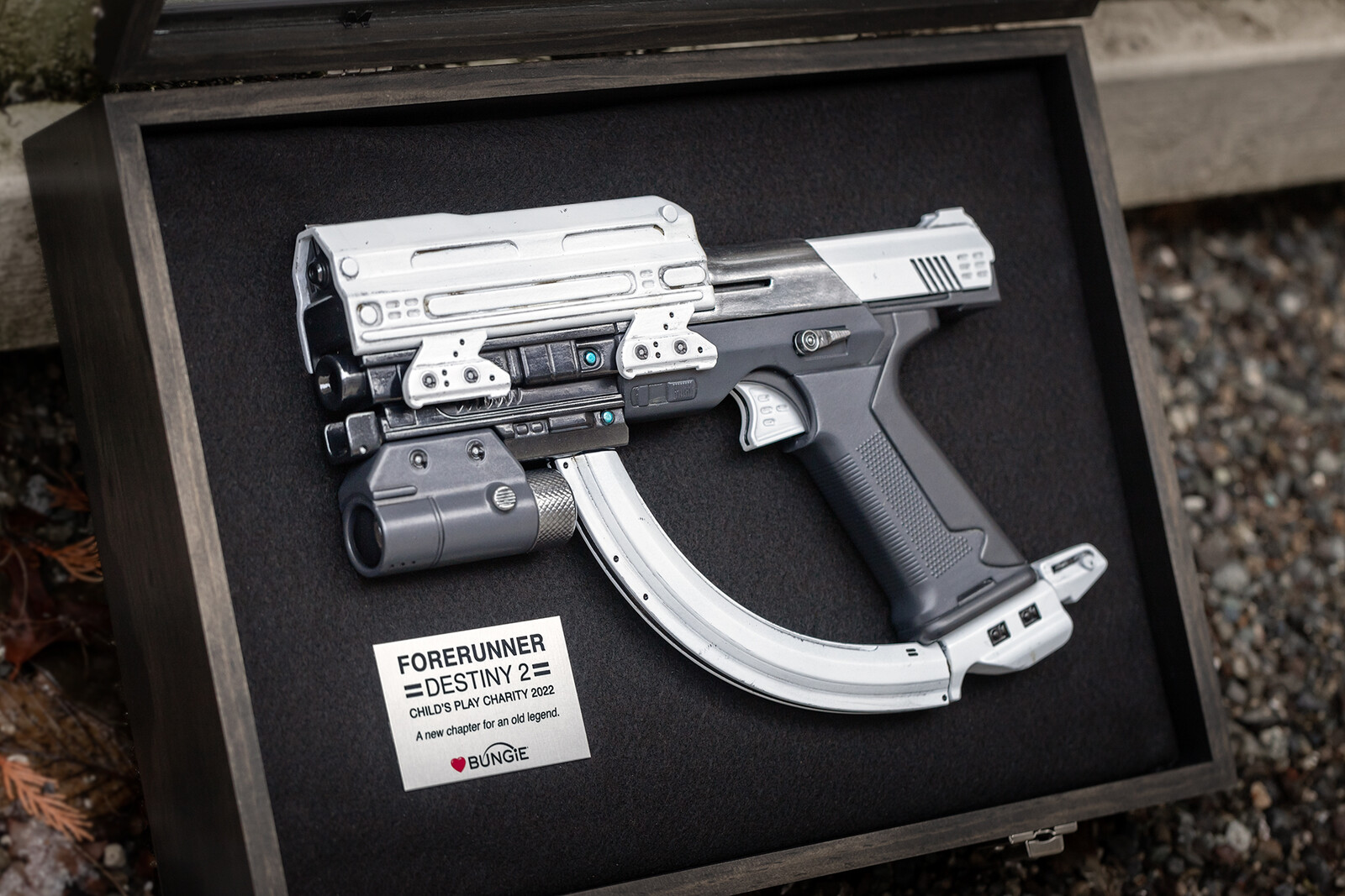 Eric Newgard - Destiny 2- Forerunner