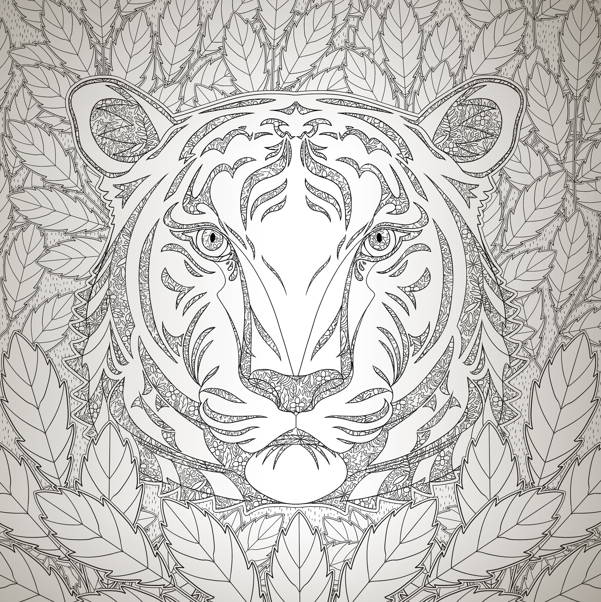 national geographic kids coloring book animals