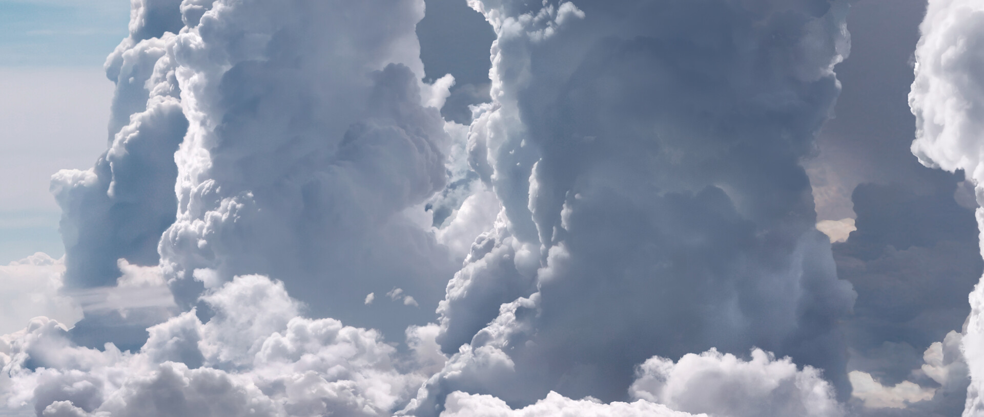 alex_che-crop-02.jpg (1920×815)-花瓣网