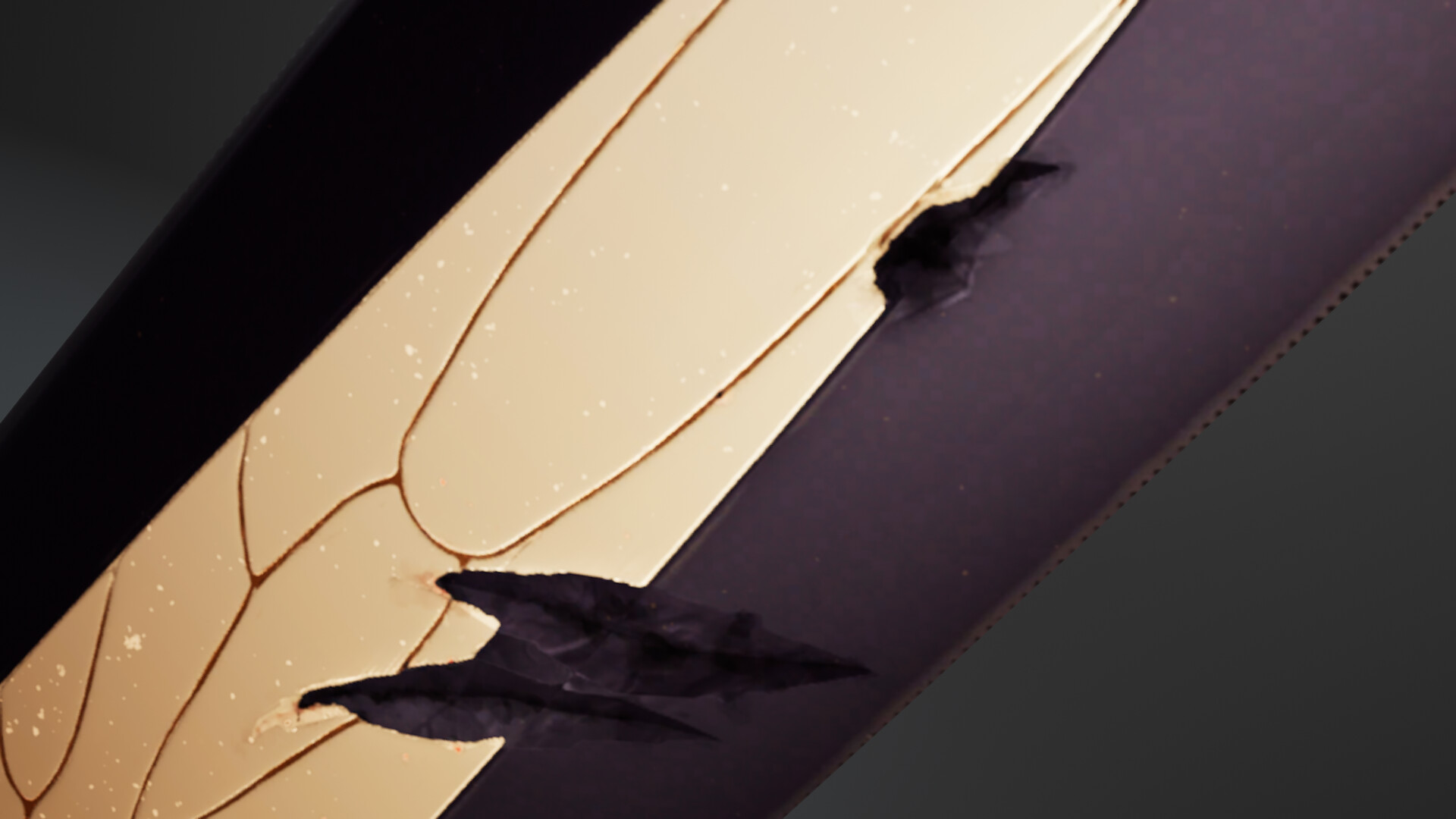 Shelley Beasley - Butterfly Sword