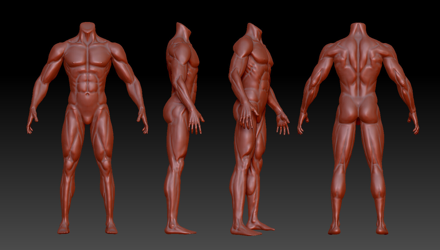 ArtStation - Male Body