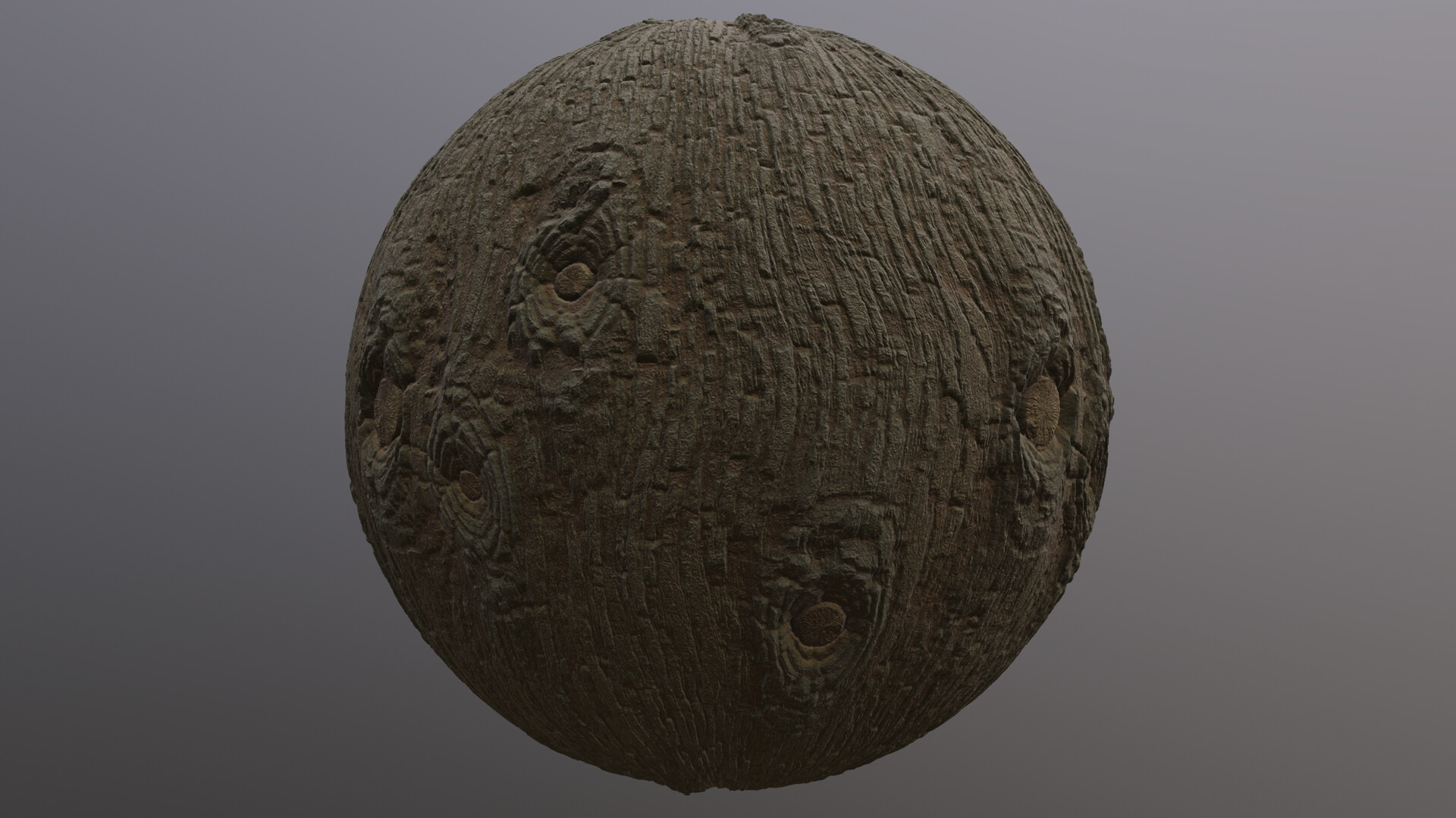 ArtStation - Study Substance Designer - Tree Bark