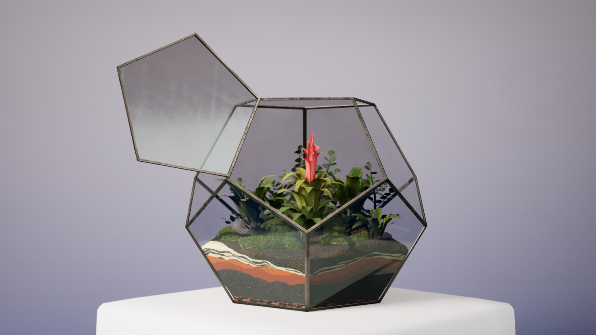 ArtStation - Terrarium