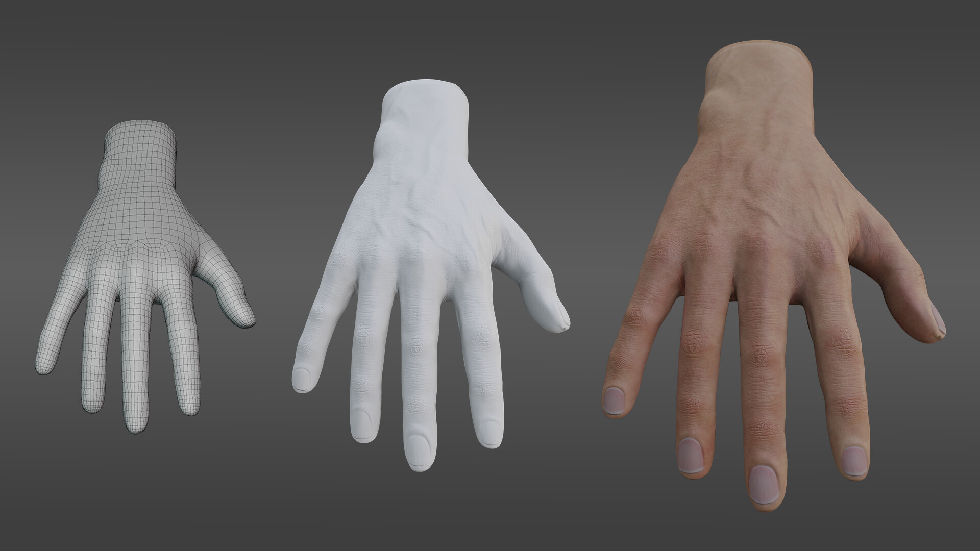 VRSTYLER - Realistic Human Hand 3D Model