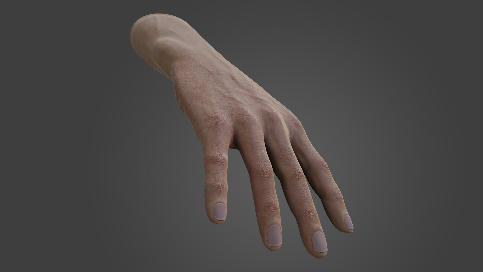 VRSTYLER - Realistic Human Hand 3D Model