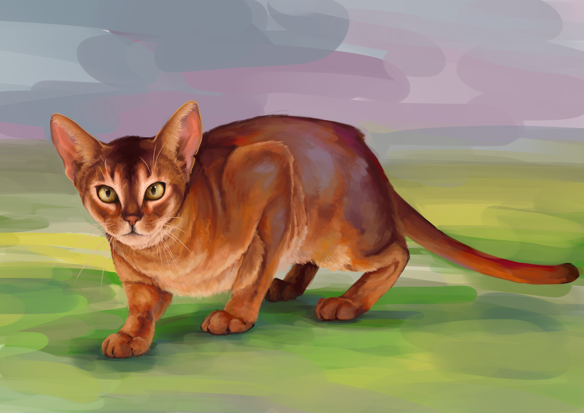 ArtStation - #3 Encyclopedia. Abyssinian Cat