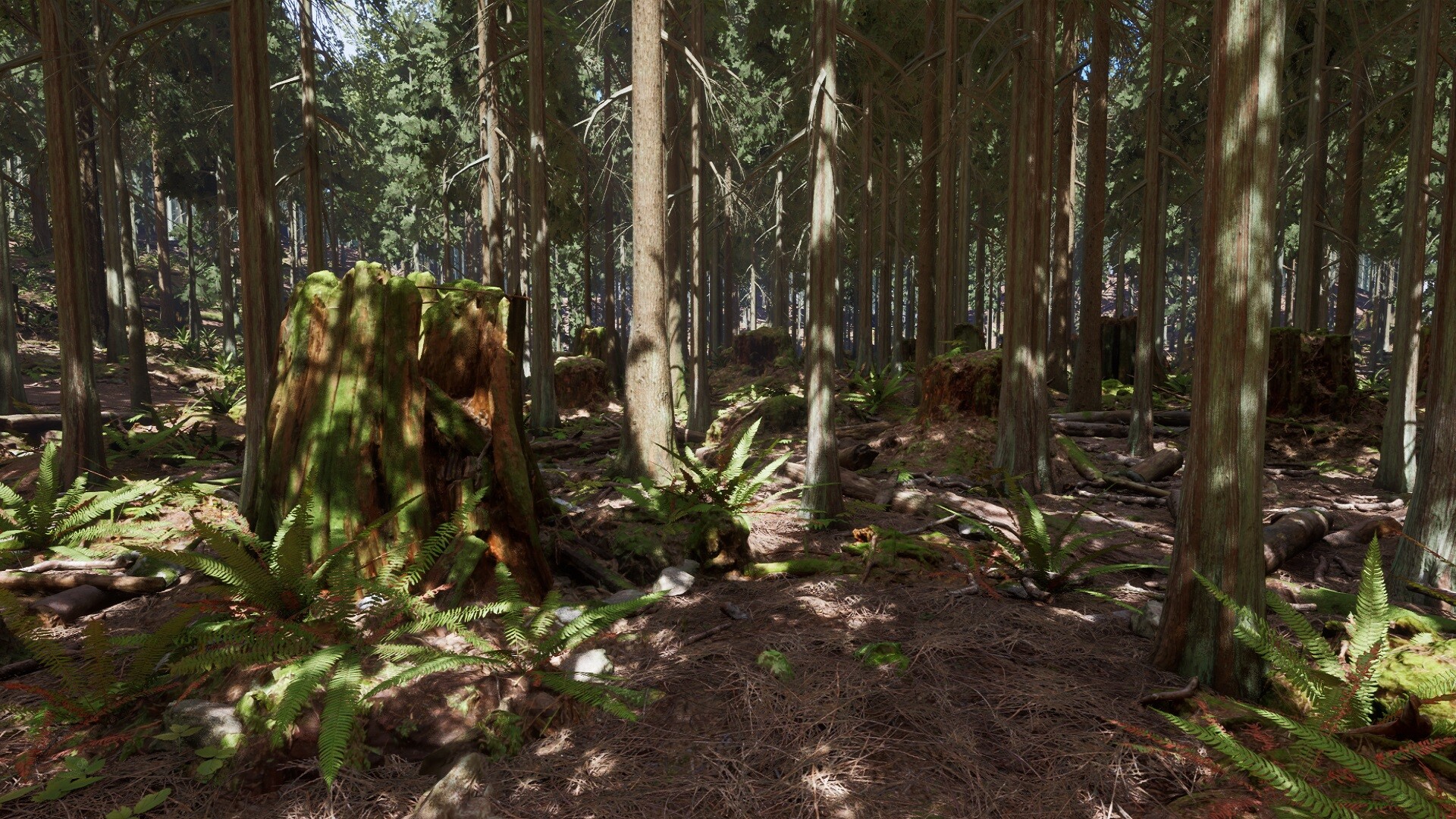 Peter Severud - Photogrammetry Forest Pack