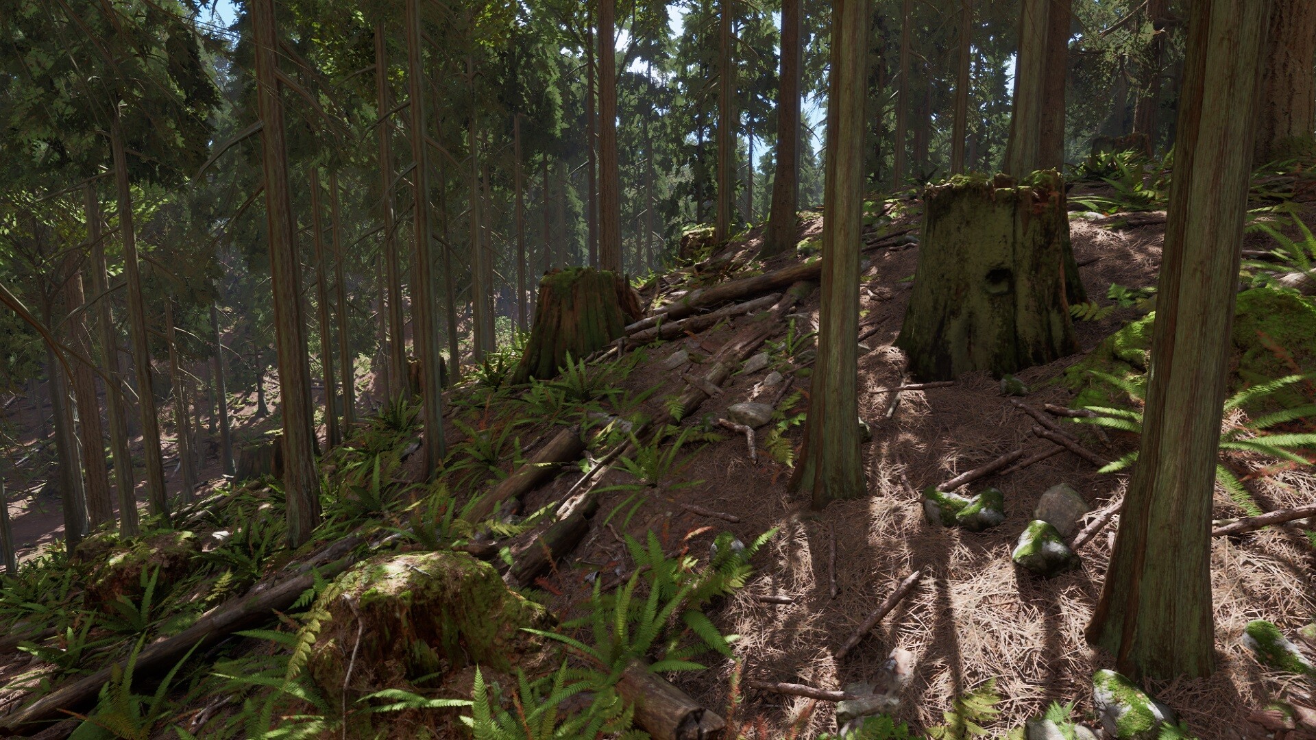 Peter Severud - Photogrammetry Forest Pack