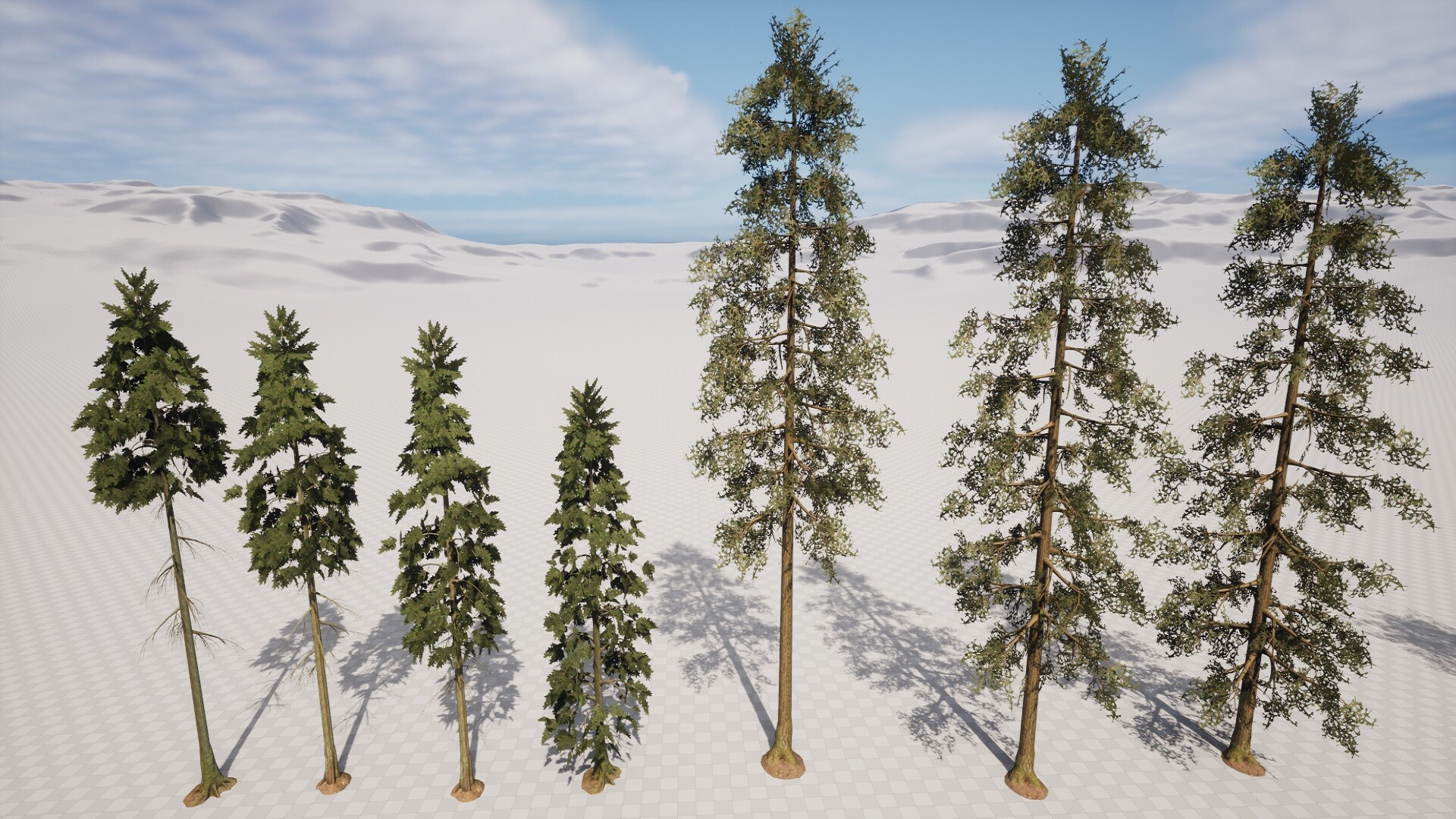 Peter Severud - Photogrammetry Forest Pack