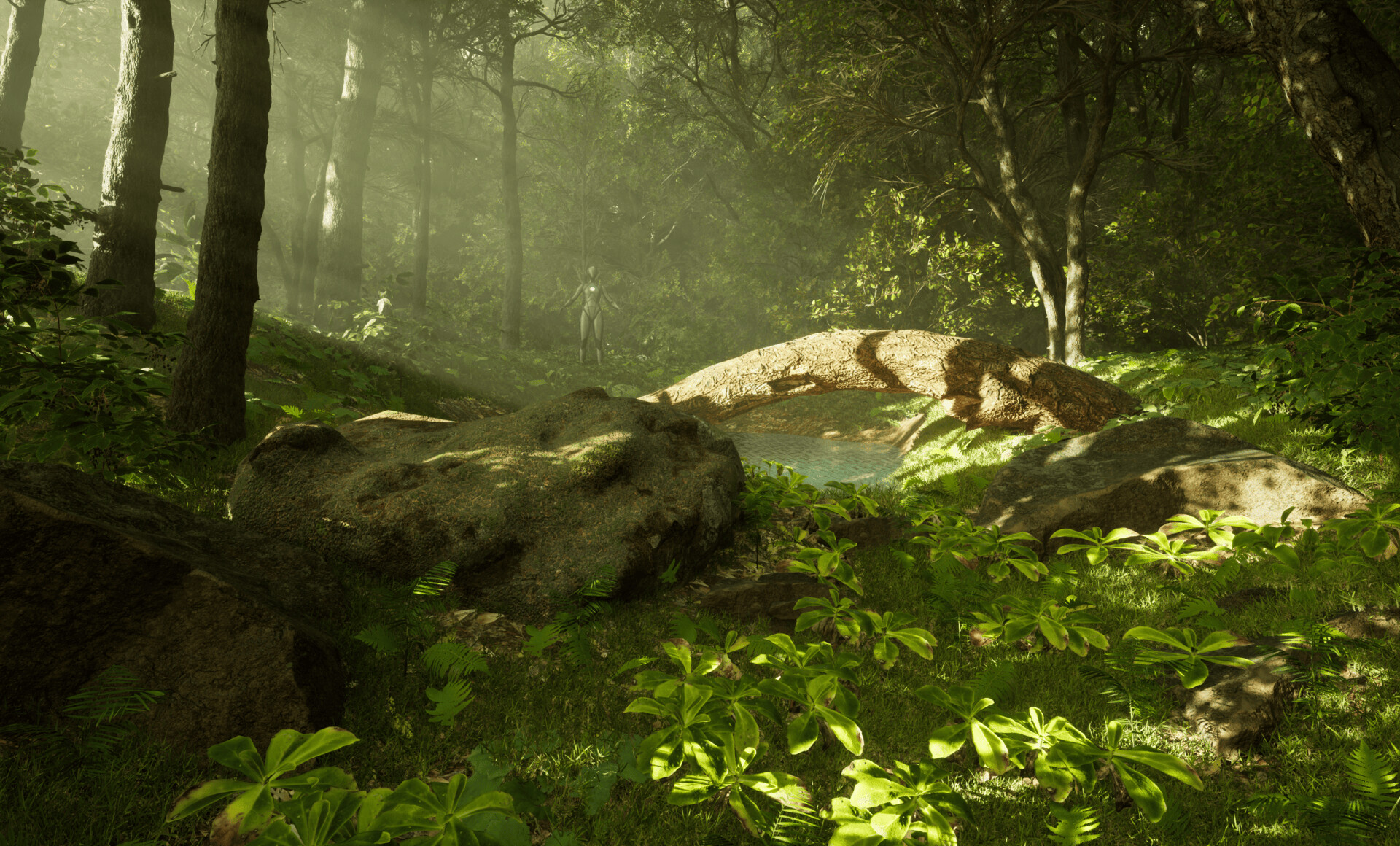 ArtStation - Forest with God Rays
