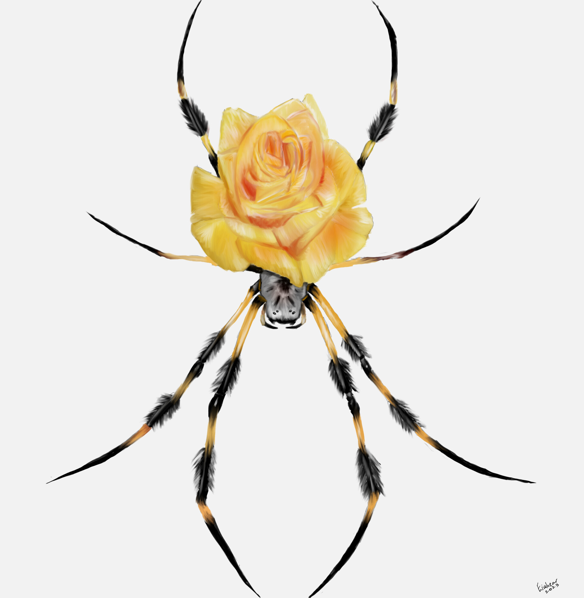 ArtStation - Spider Yellow Rose