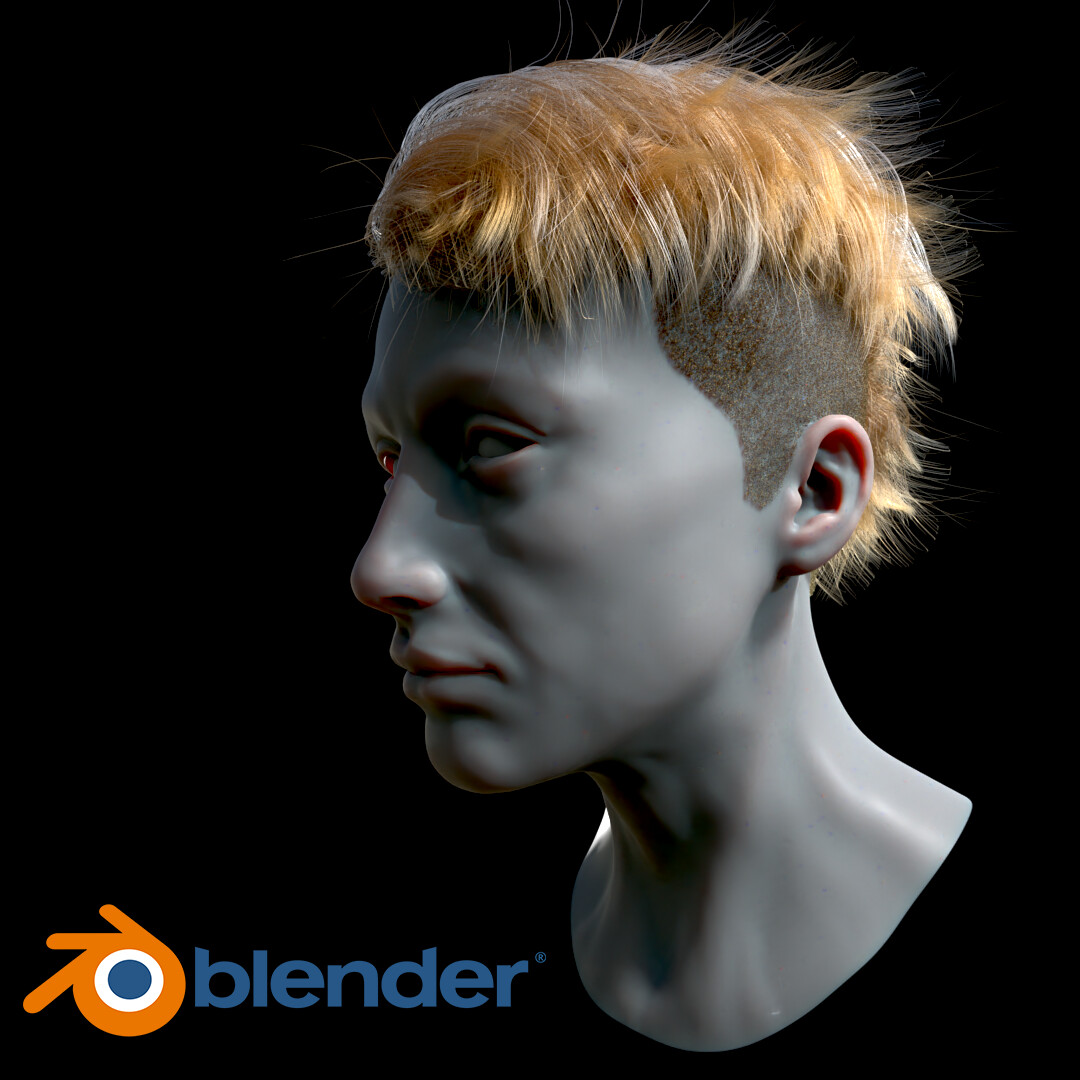 ArtStation - Blender 3.5 Hair Curves Project