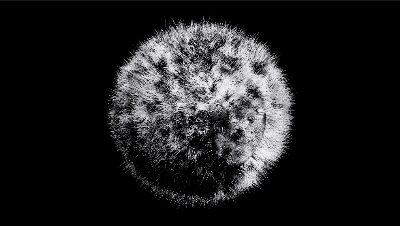 ArtStation - Principled Hair rendering in Unity