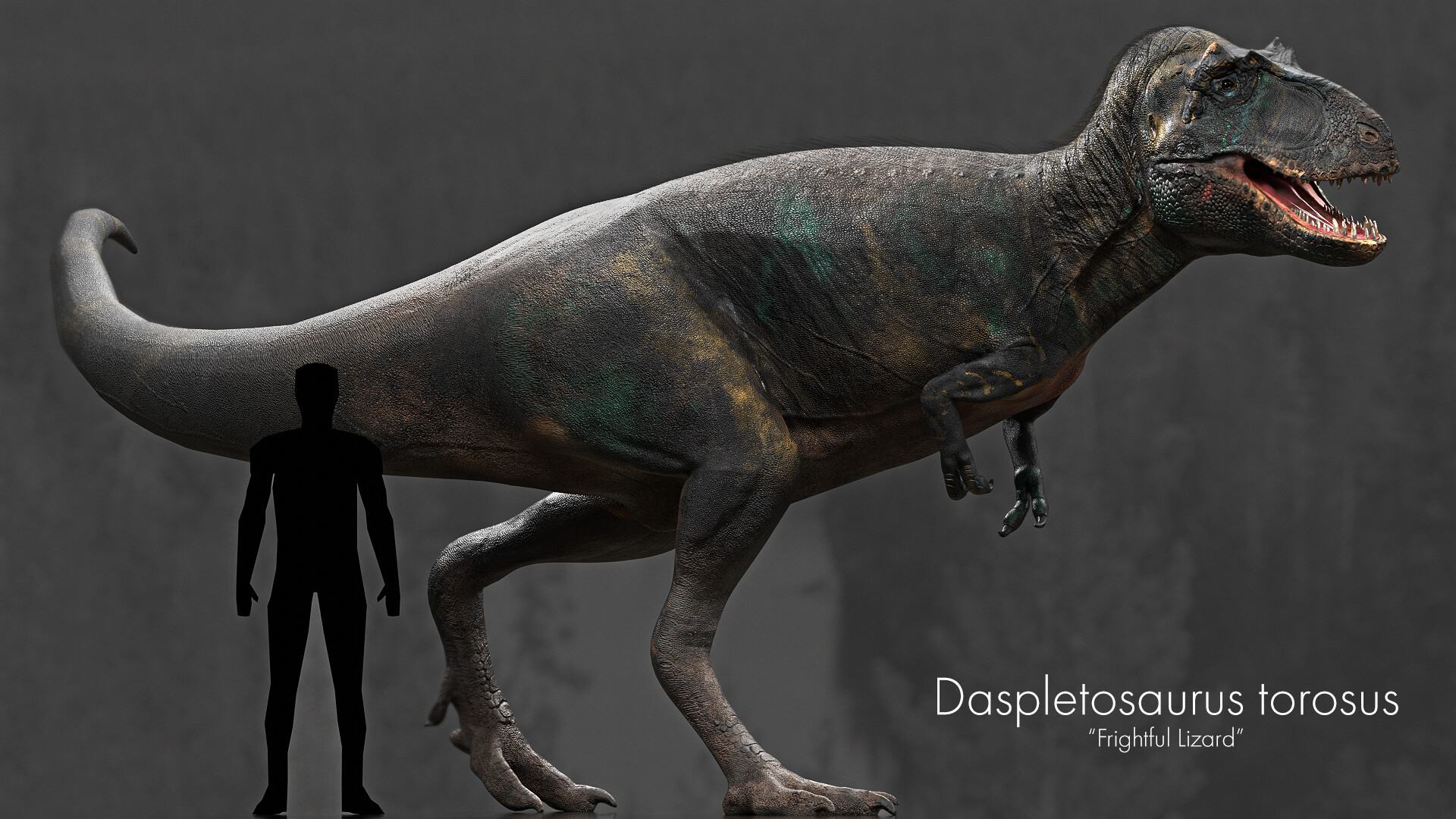 Jimmie Floyd - Daspletosaurus torosus
