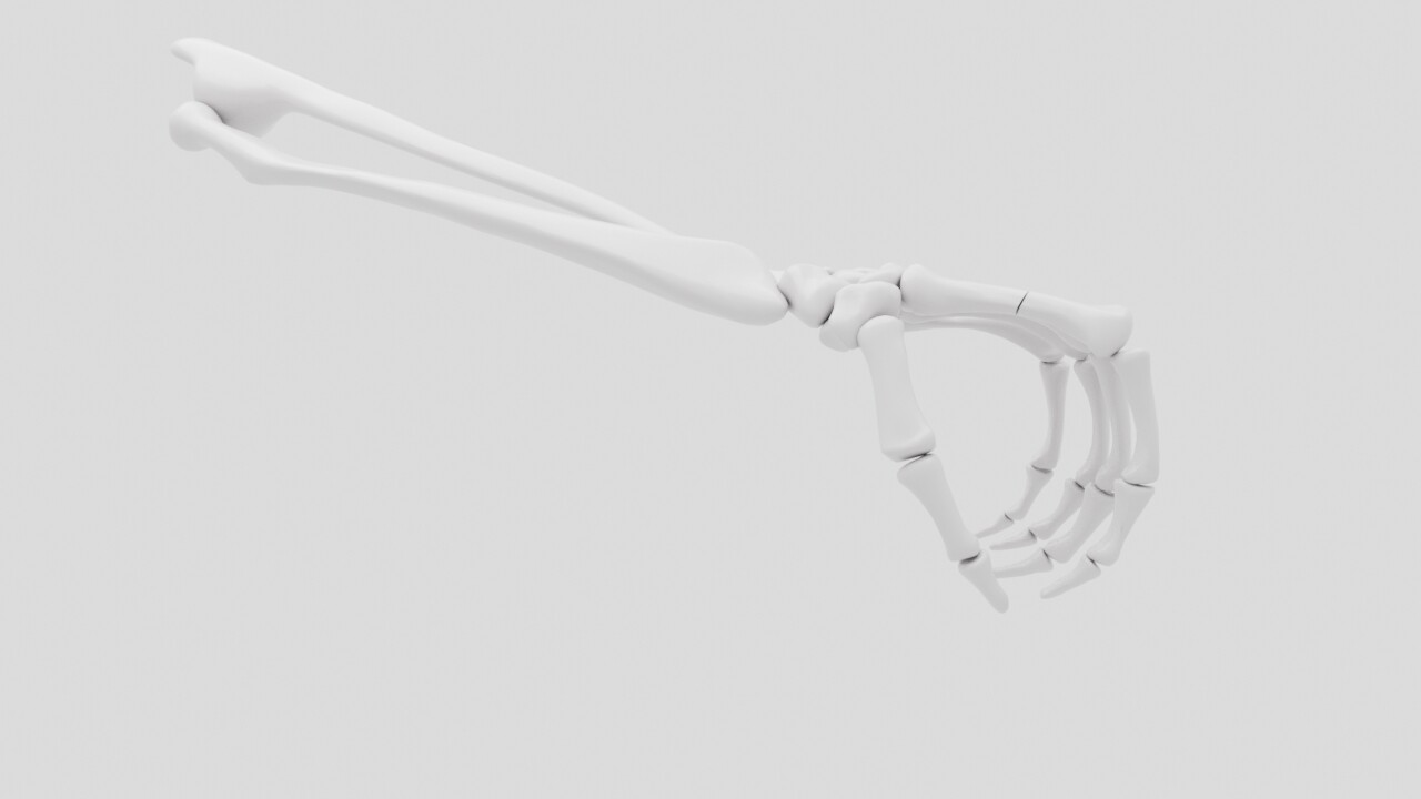 Miklos Lissa - Surgical Tools and Surgical Techniques on Skeleton Arm