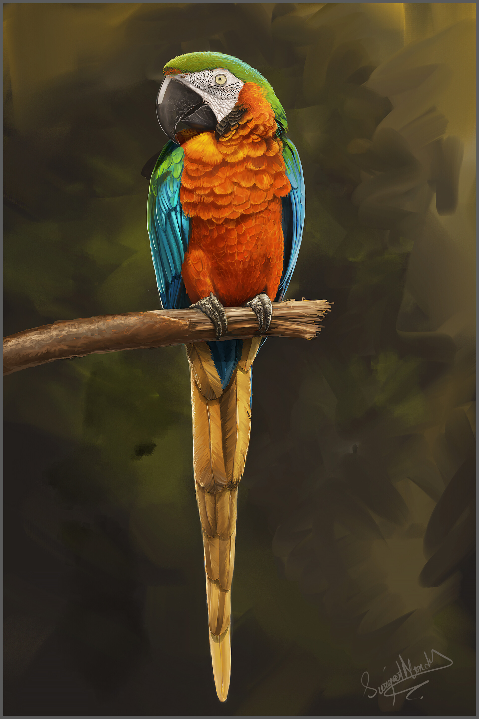 ArtStation - Vibrant Majesty: A Portrait of the Macaw