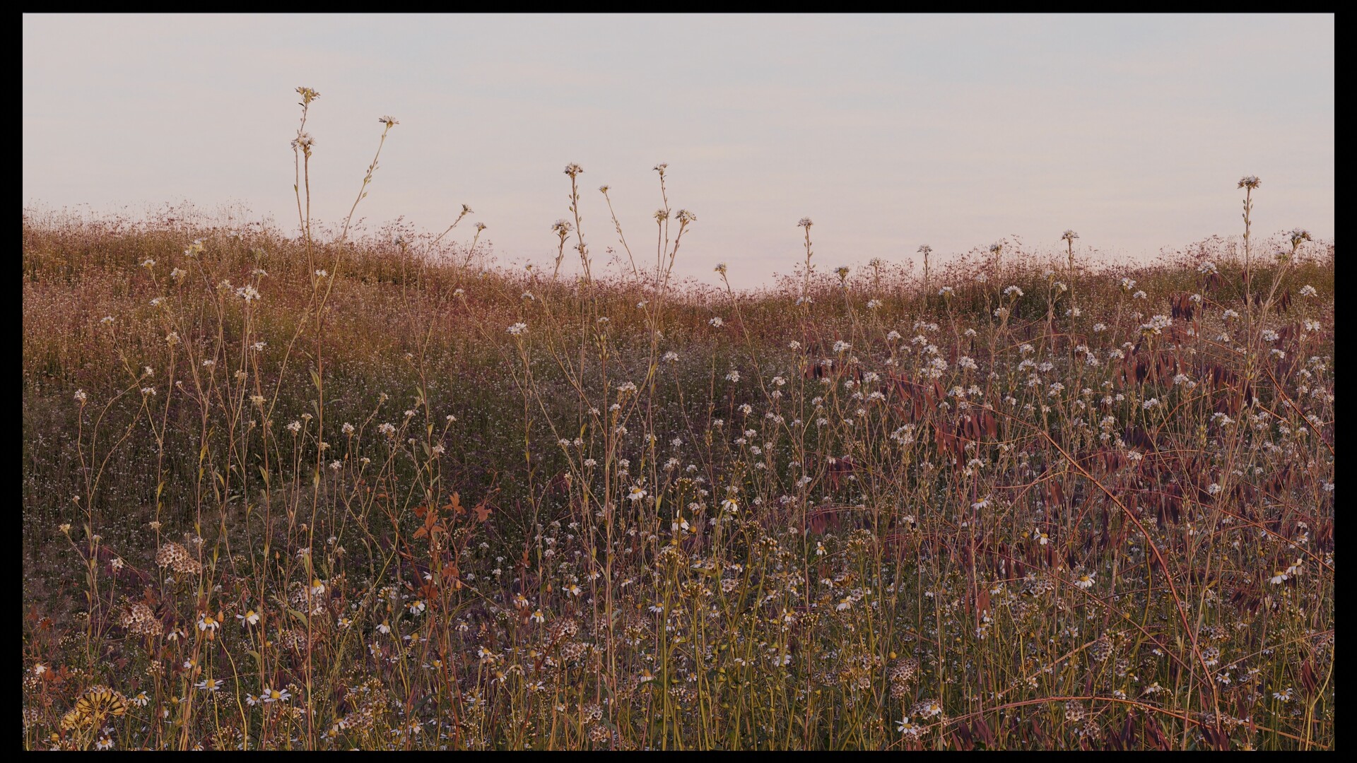 ArtStation - Graswald in Luxrender II