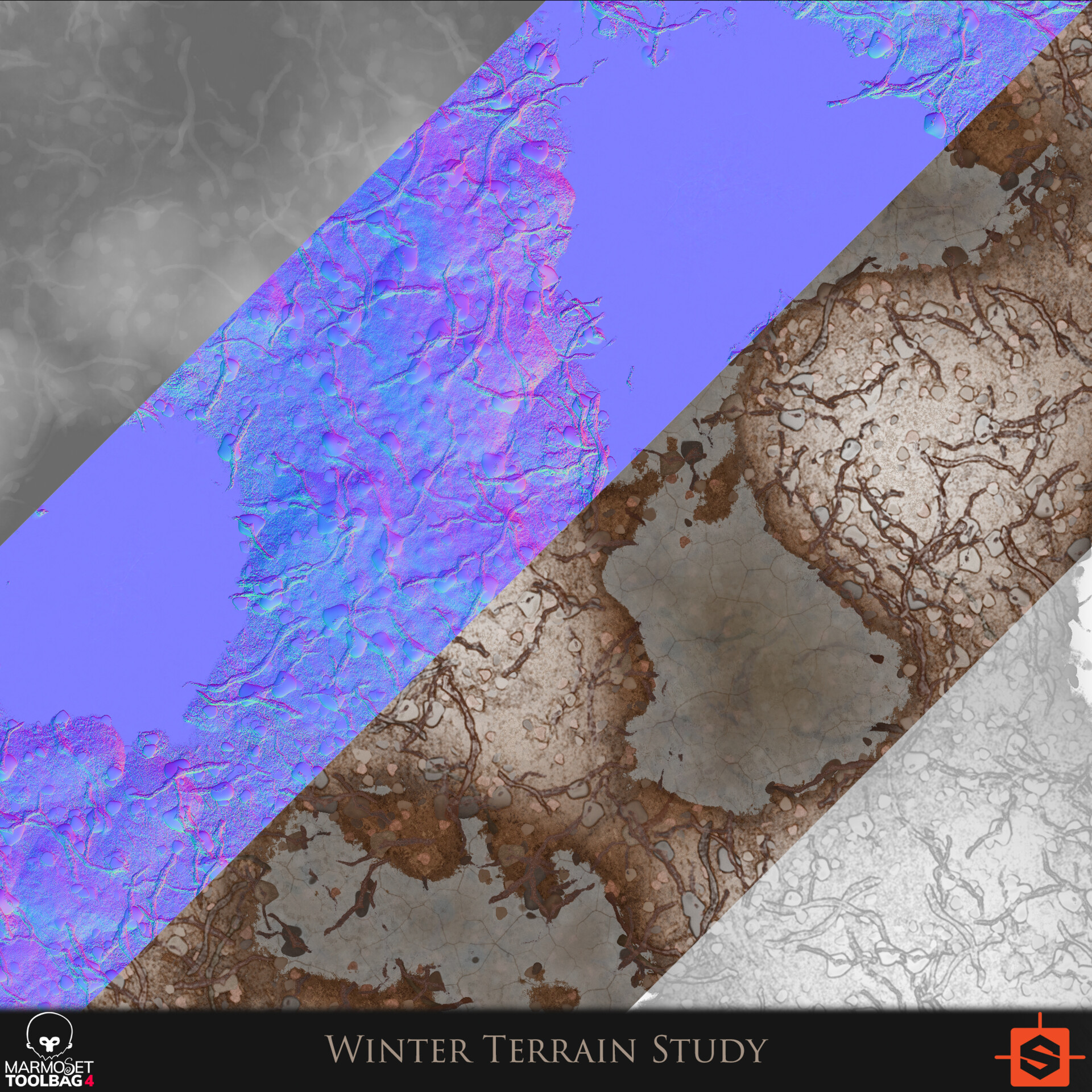 Rodolfo Beccalli - PBR Procedural Winter Terrain Material Study 01
