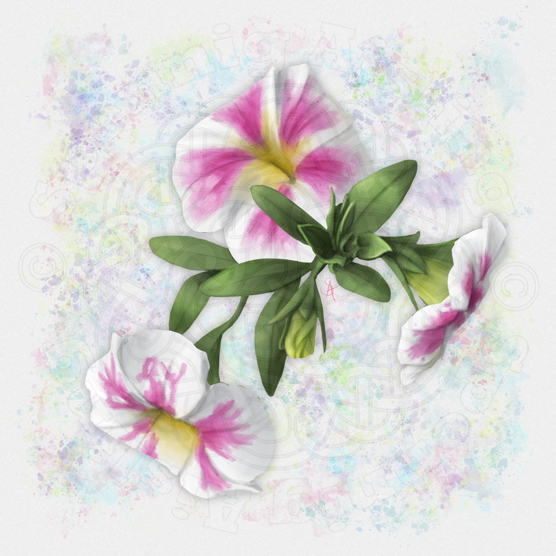 ArtStation - Calibrachoa