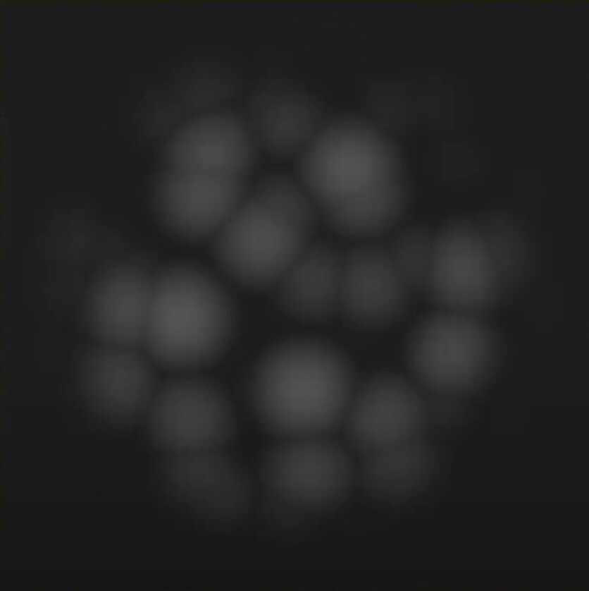 Micael E Sousa - Lonely Snail