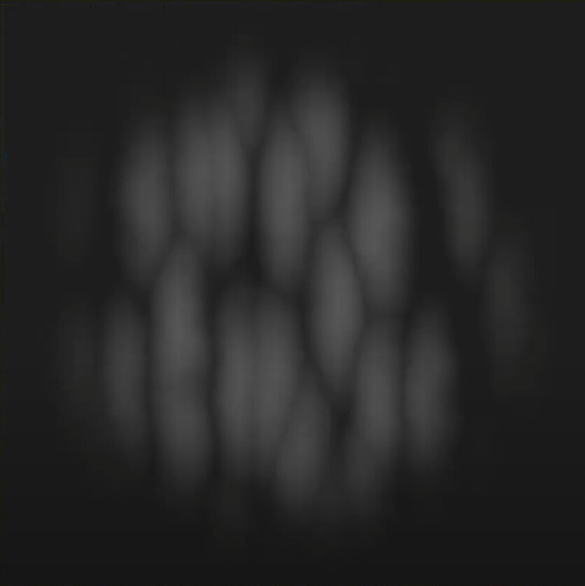 Micael E Sousa - Lonely Snail