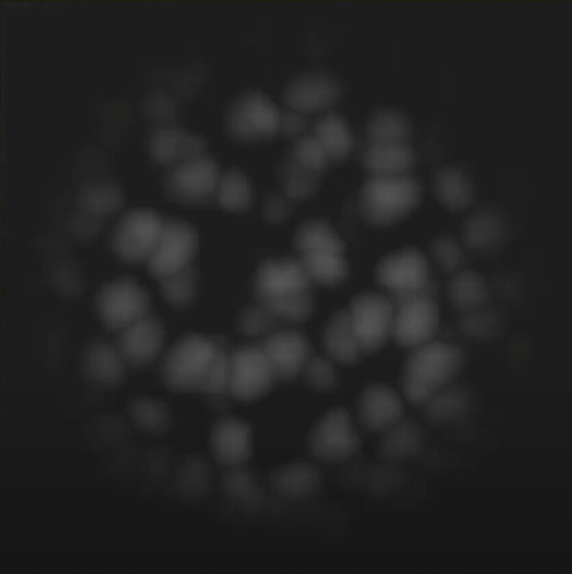 Micael E Sousa - Lonely Snail