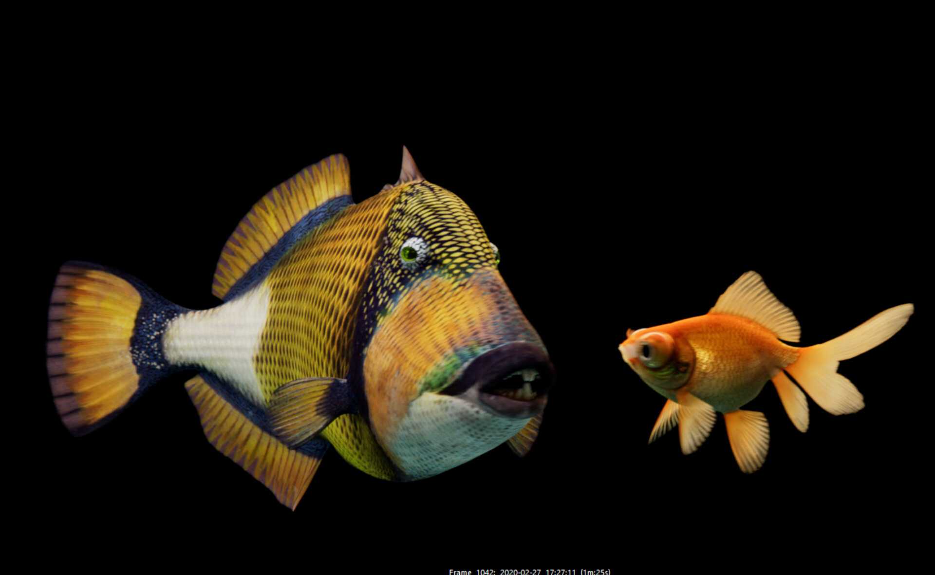 Tim Streets - Commercial - Lawrence the Fish