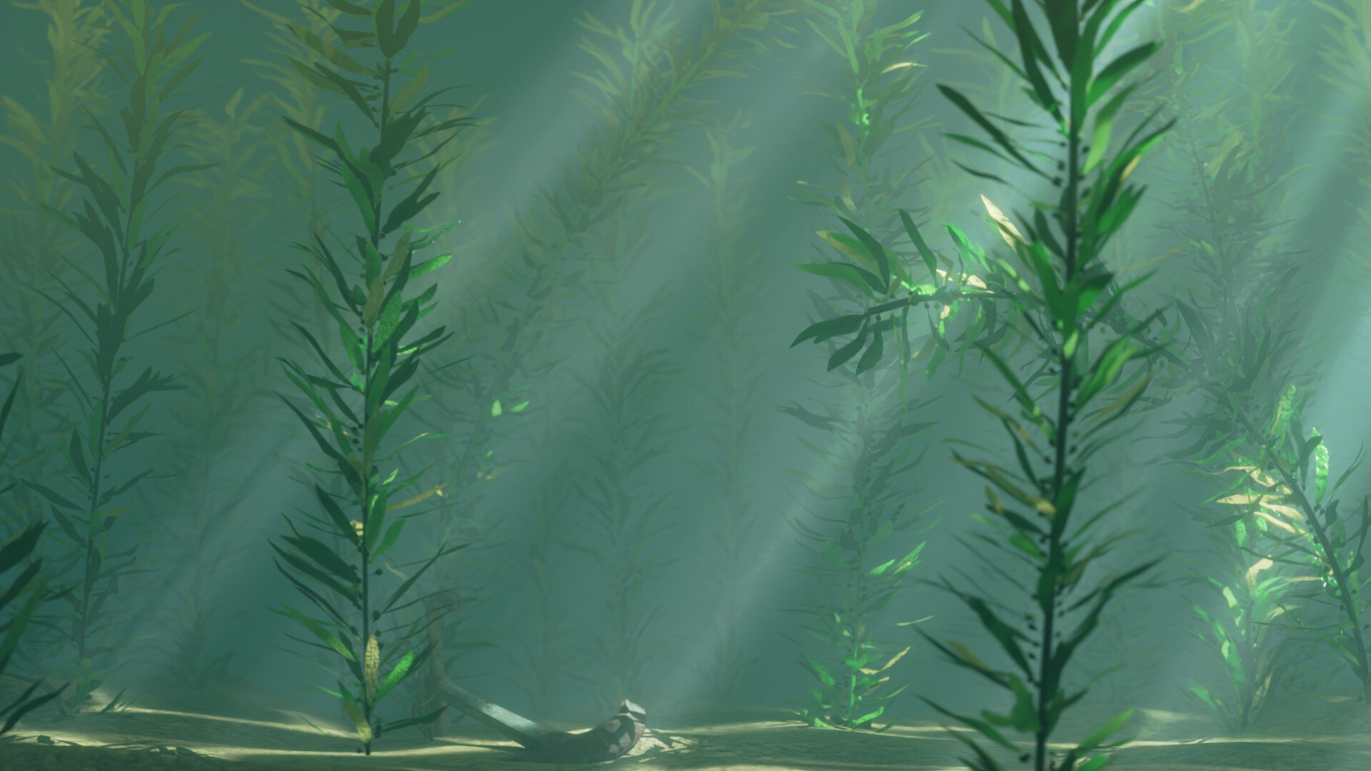 ArtStation - Kelp Forest