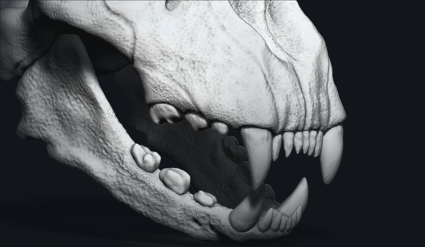 Юрий Dyachenko - Cheetah Skull