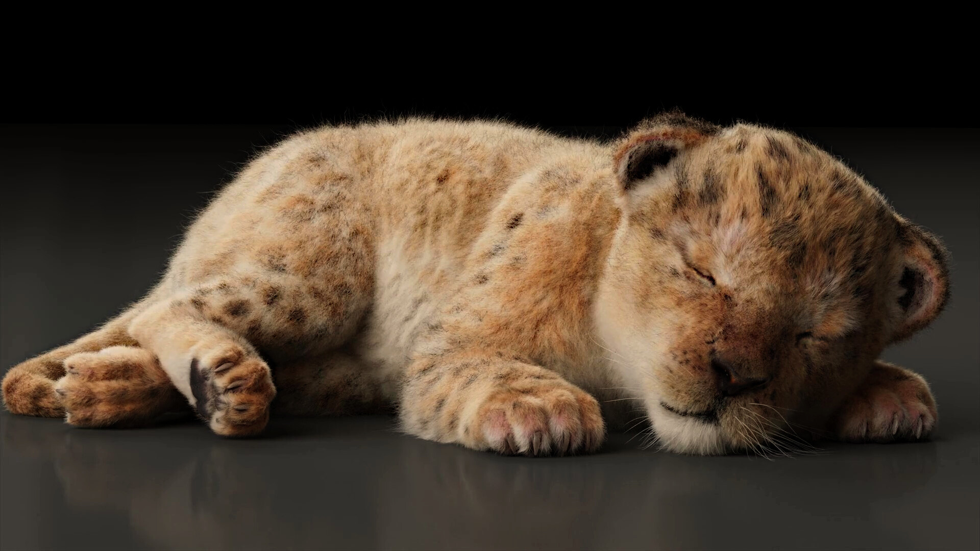 ArtStation - Lion Cub