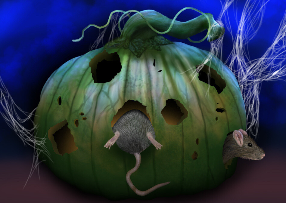 ArtStation - Rat snack 🎃🐀