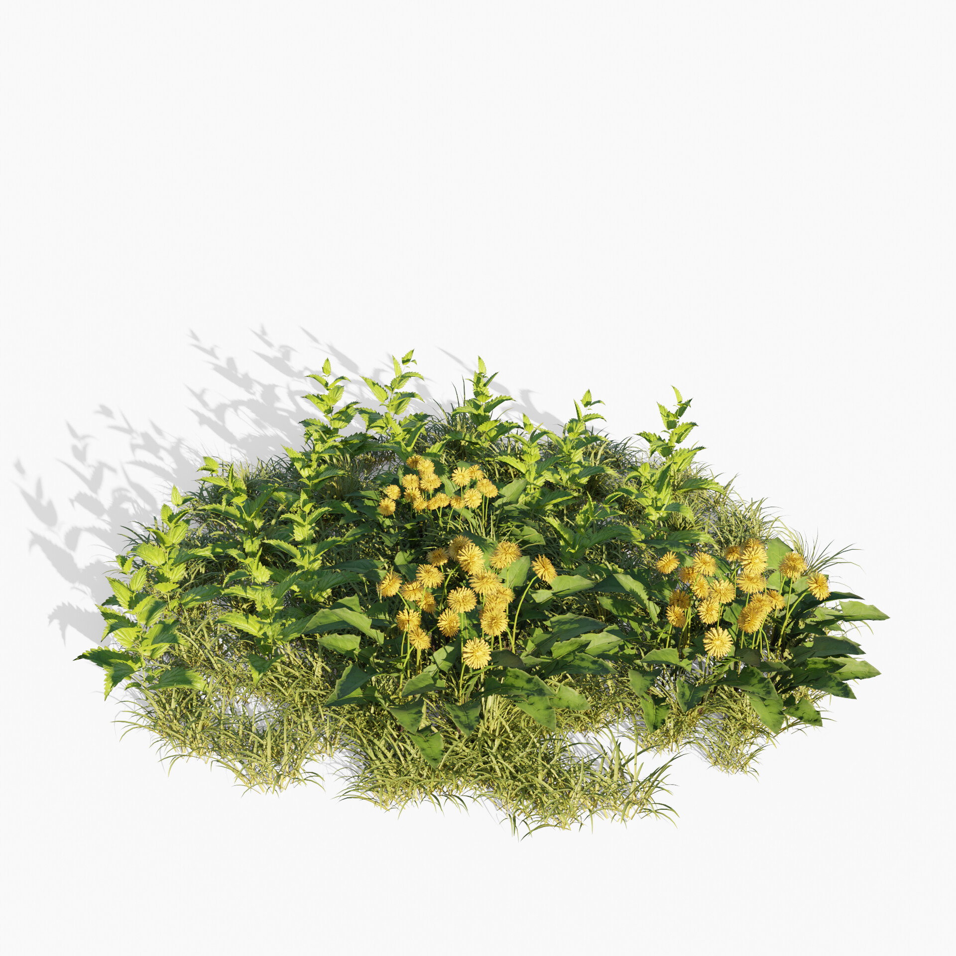 Otso Jylhä - Speedtree plants 01