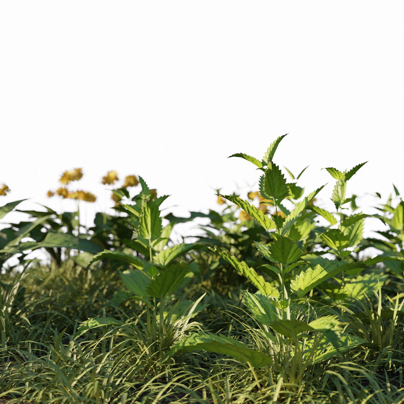 Otso Jylhä - Speedtree plants 01