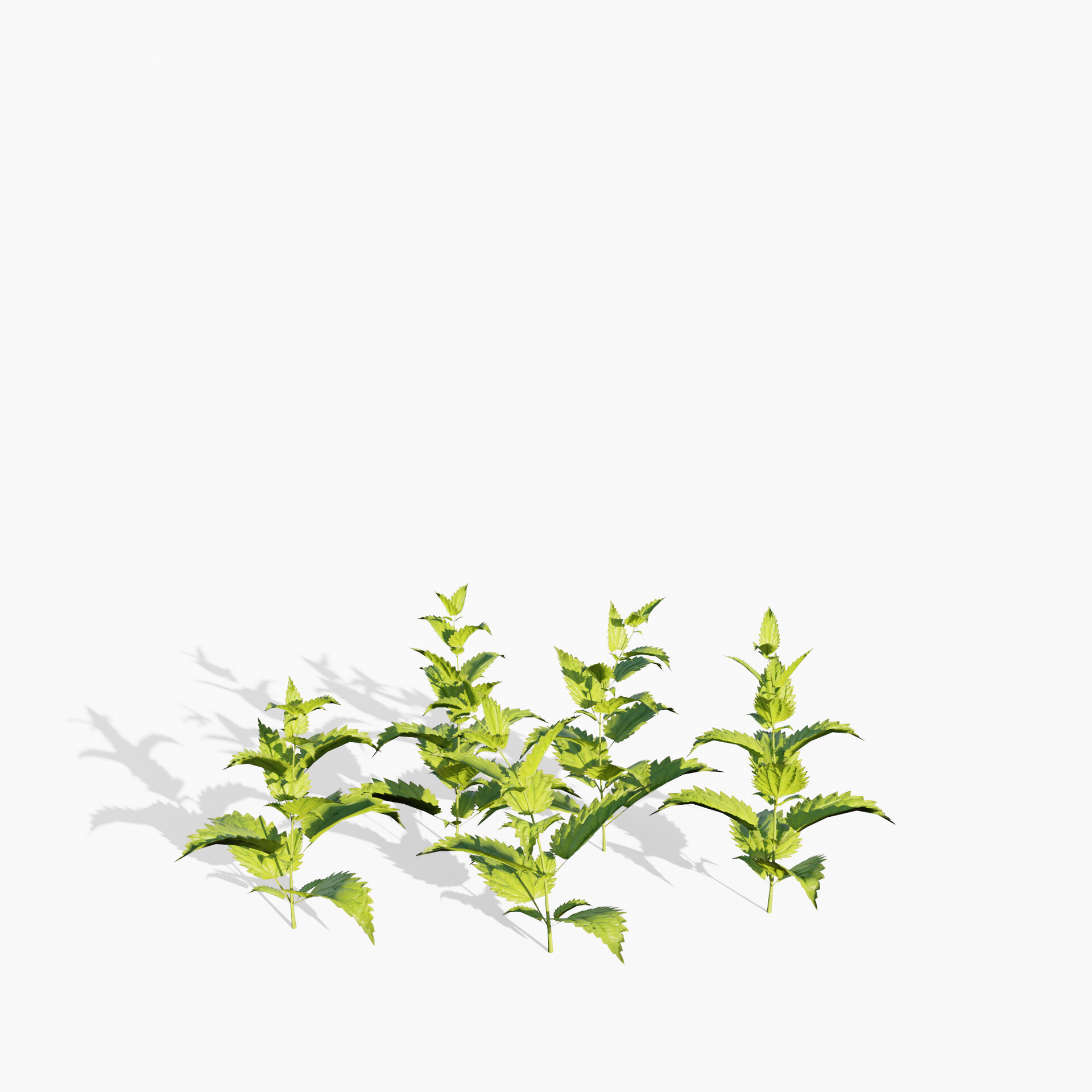 Otso Jylhä - Speedtree plants 01