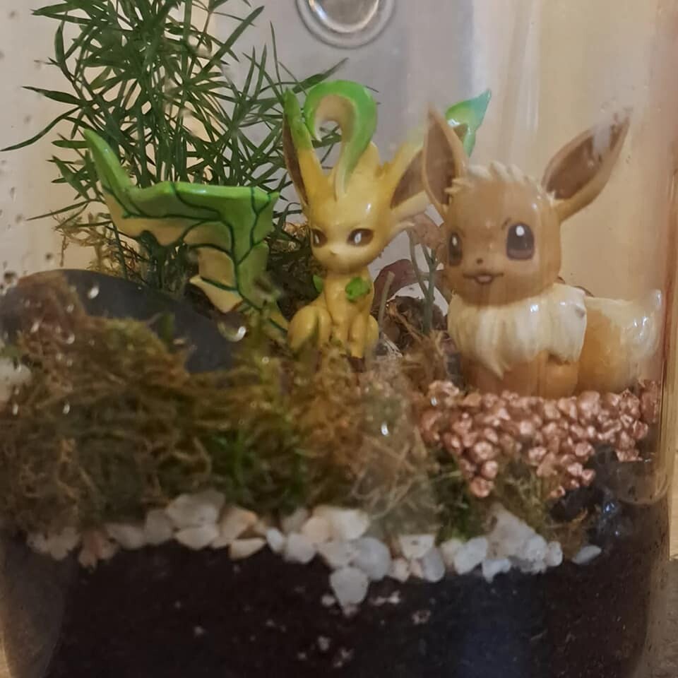 ArtStation - Pokemon Terrarium