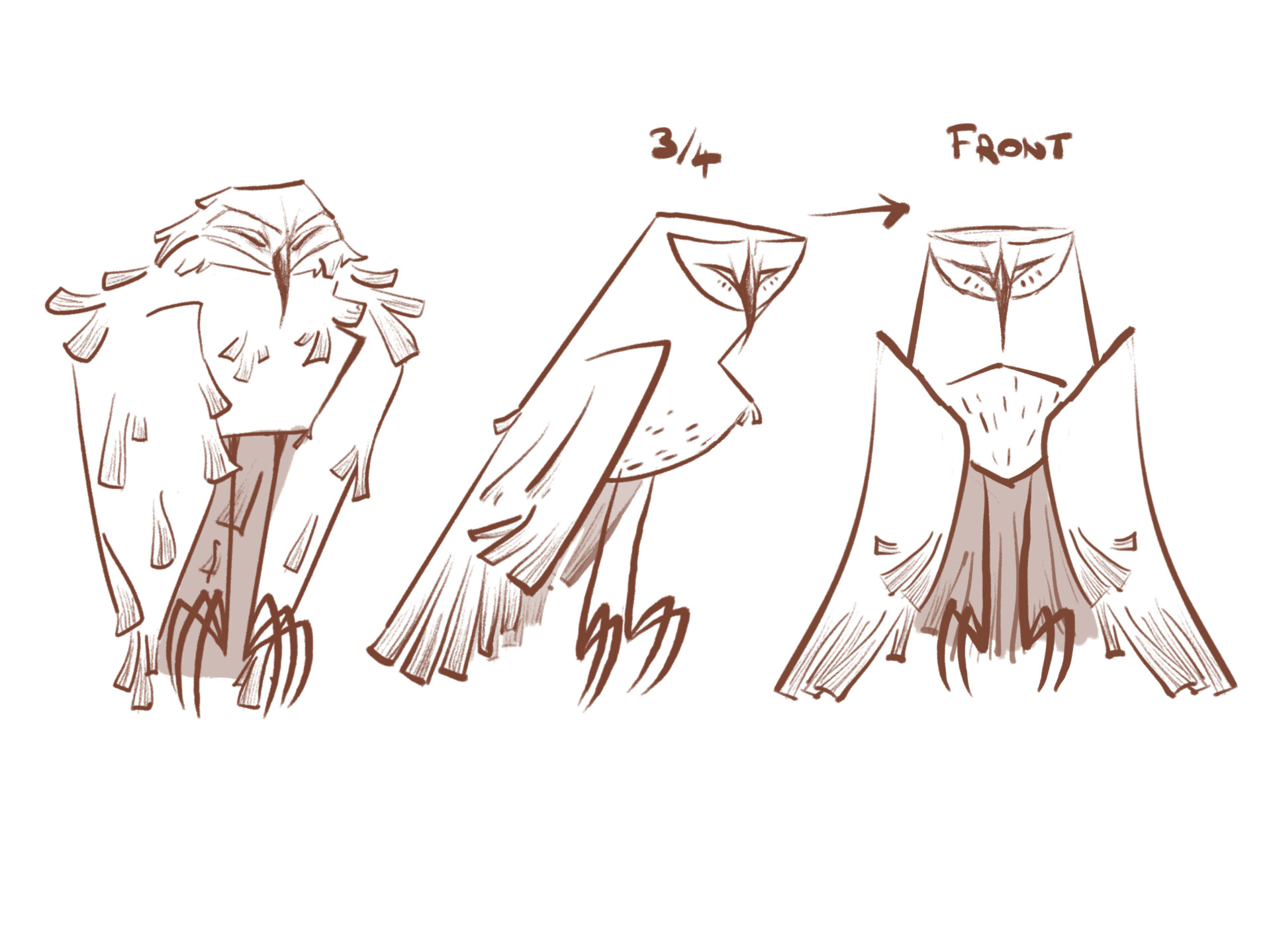 owl wings drawing reference